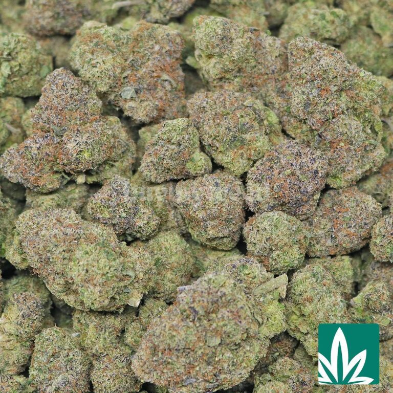 Buy White Sherbert Runtz Online - Buy My Weed USA