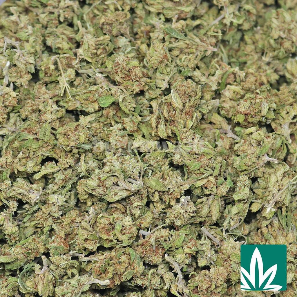 Buy Glitter Bomb Smalls Strain Online - Buy My Weed USA