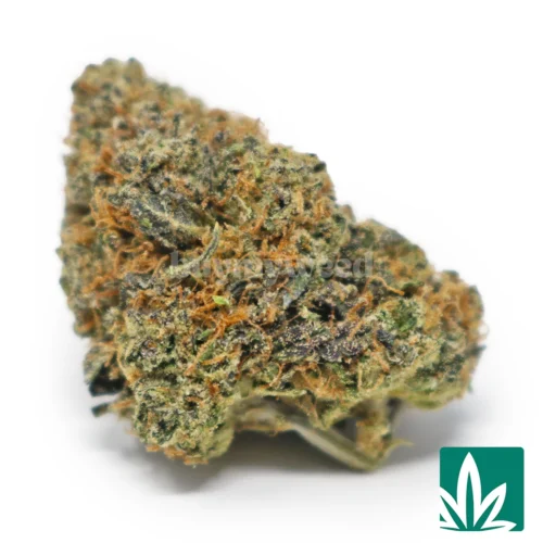 Buy Cherry Candy Pop Strain Online - Buy My Weed USA