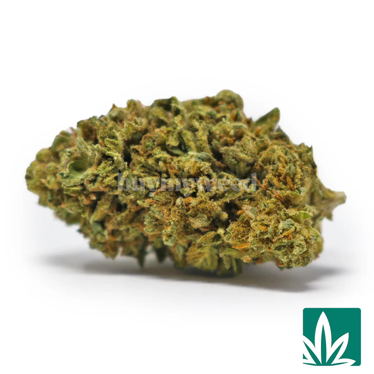 Buy Platinum Kush Strain Online - Buy My Weed USA