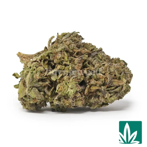 Buy Lemon Cherry Gelato Online - Buy My Weed USA