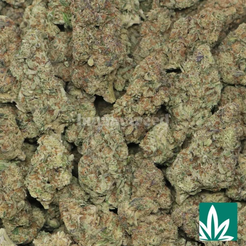 Buy My Weed USA - America's #1 Online Cannabis Dispensary