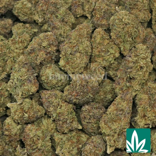 Buy Lemon Haze Online - Buy My Weed USA
